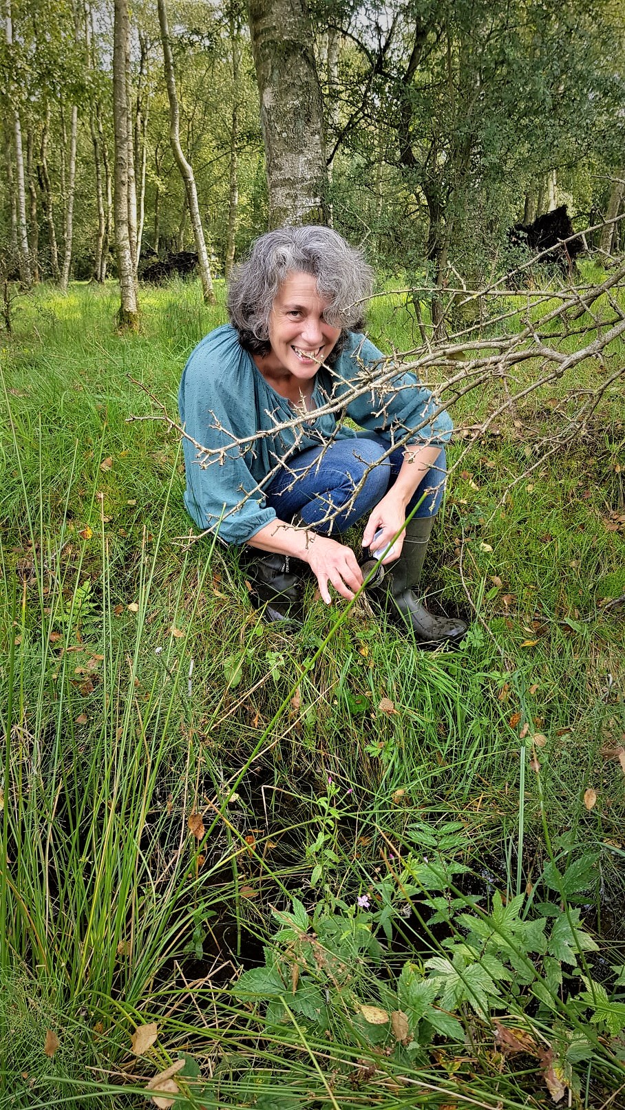 Sådan finder du leveriktens hotspots på dine græsgange | Økologisk ...