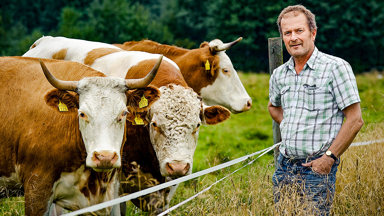 Finsk afsætningssucces kommer til Danmark | Økologisk - nyt om udviklingen