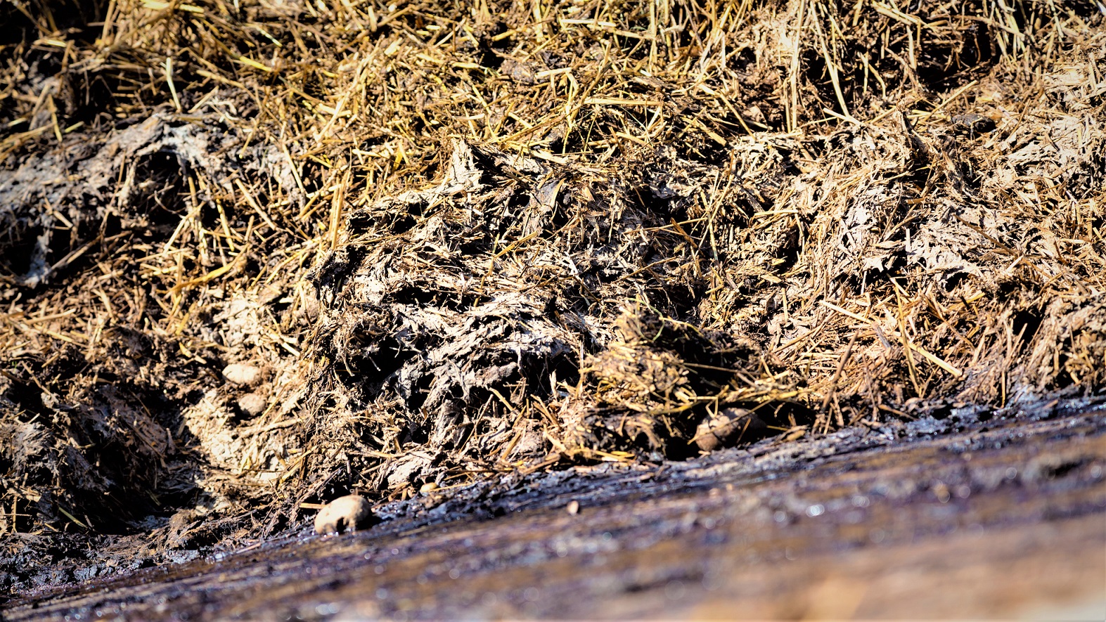 Gør-det-selv designergylle – en interessant idé | Økologisk - nyt om ...